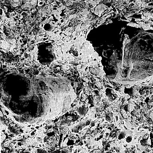 Kanuma Soil: A Complete Guide For Bonsai