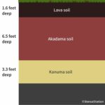 Kanuma Soil: A Complete Guide For Bonsai