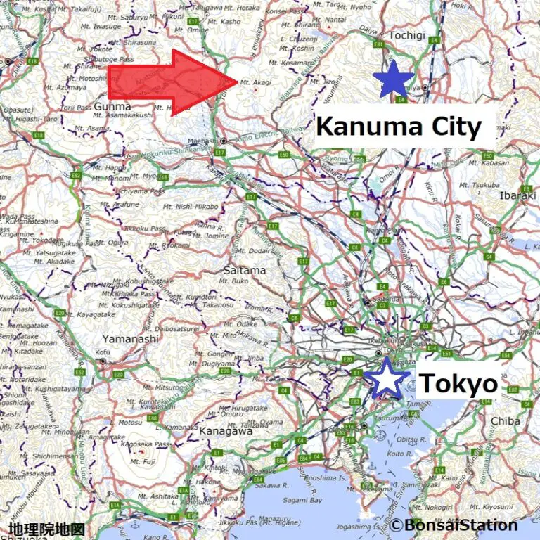 Kanuma Soil: A Complete Guide For Bonsai