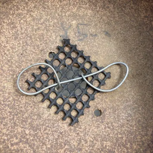 Forest Bonsai 101: How to Make Perfect Forest Bonsai