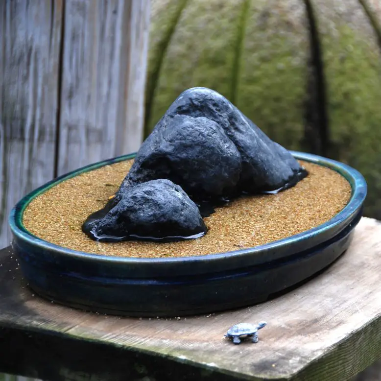 Suiseki Stones: Surprising Connection with Bonsai