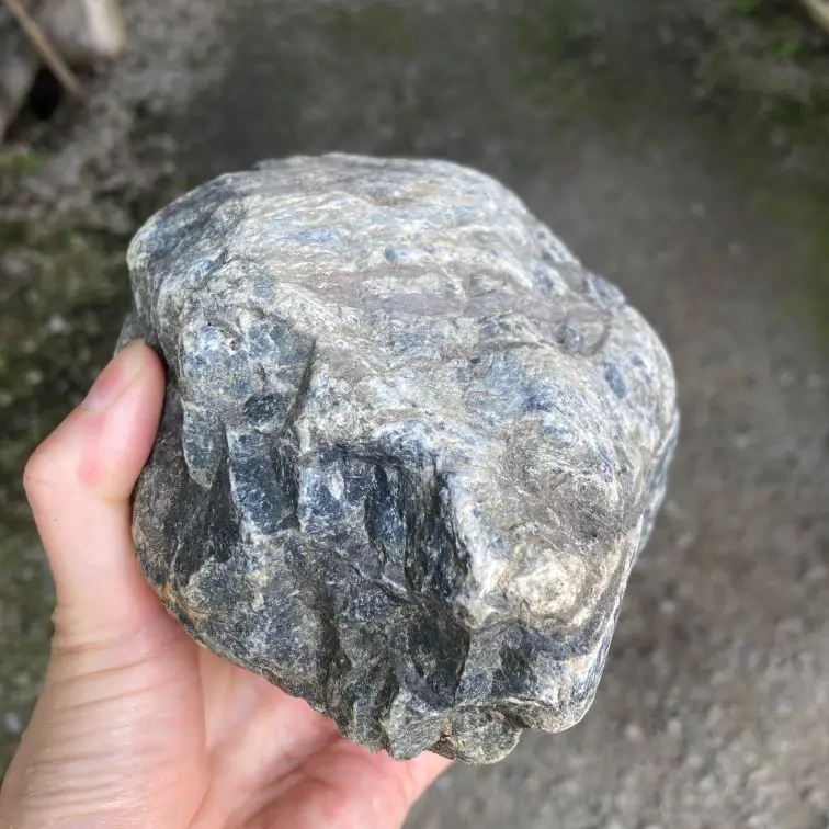 Creating Bonsai On Rock: A Step-by-Step Guide