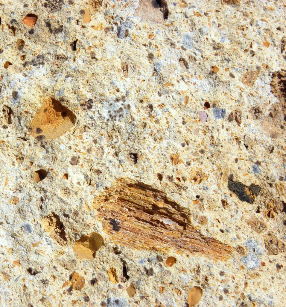 Bonsai On Rock: Selecting Perfect Trees and Rocks