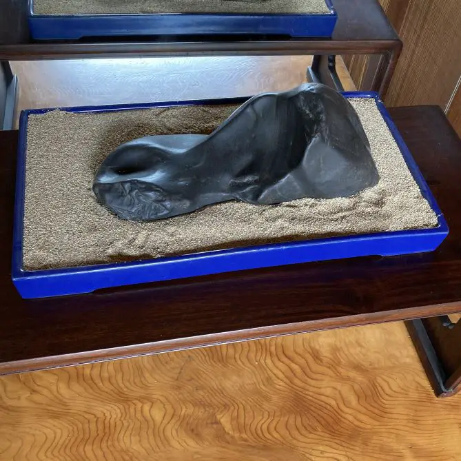 Suiseki Stones: Surprising Connection with Bonsai