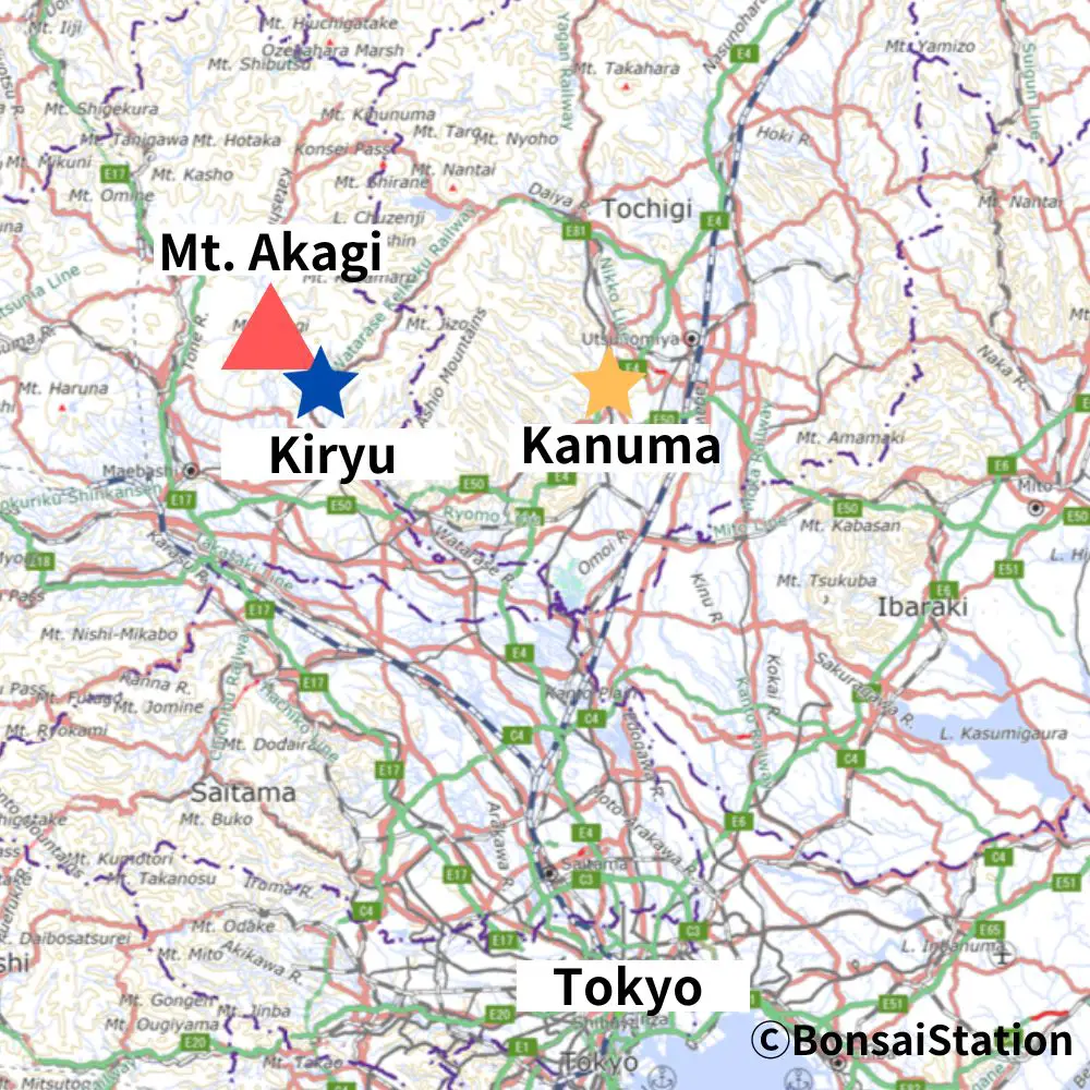 Exploring Kiryu Soil for Bonsai: A Comprehensive Guide