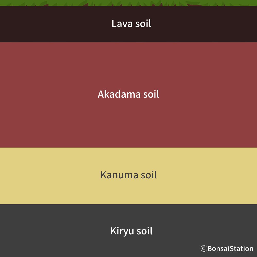 Exploring Kiryu Soil for Bonsai: A Comprehensive Guide